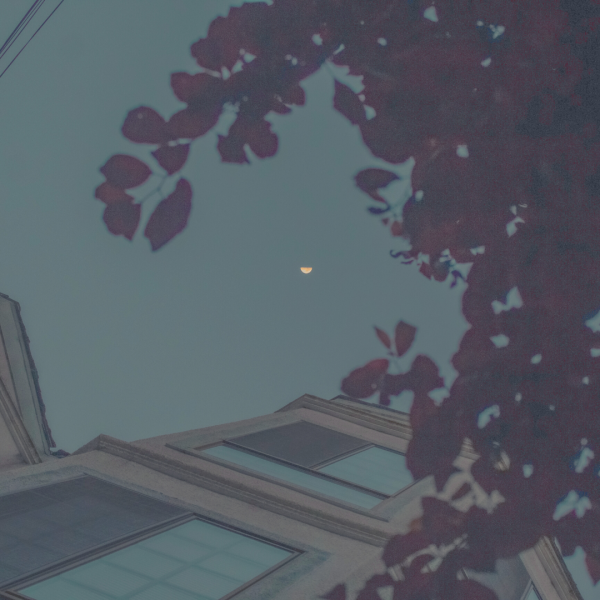 Inspirational Lines From Studio Ghibli Featured Films – HENPAL