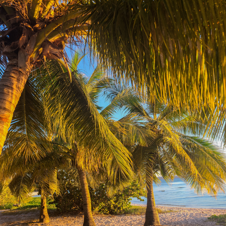 100 Things To Do In Saipan – HENPAL