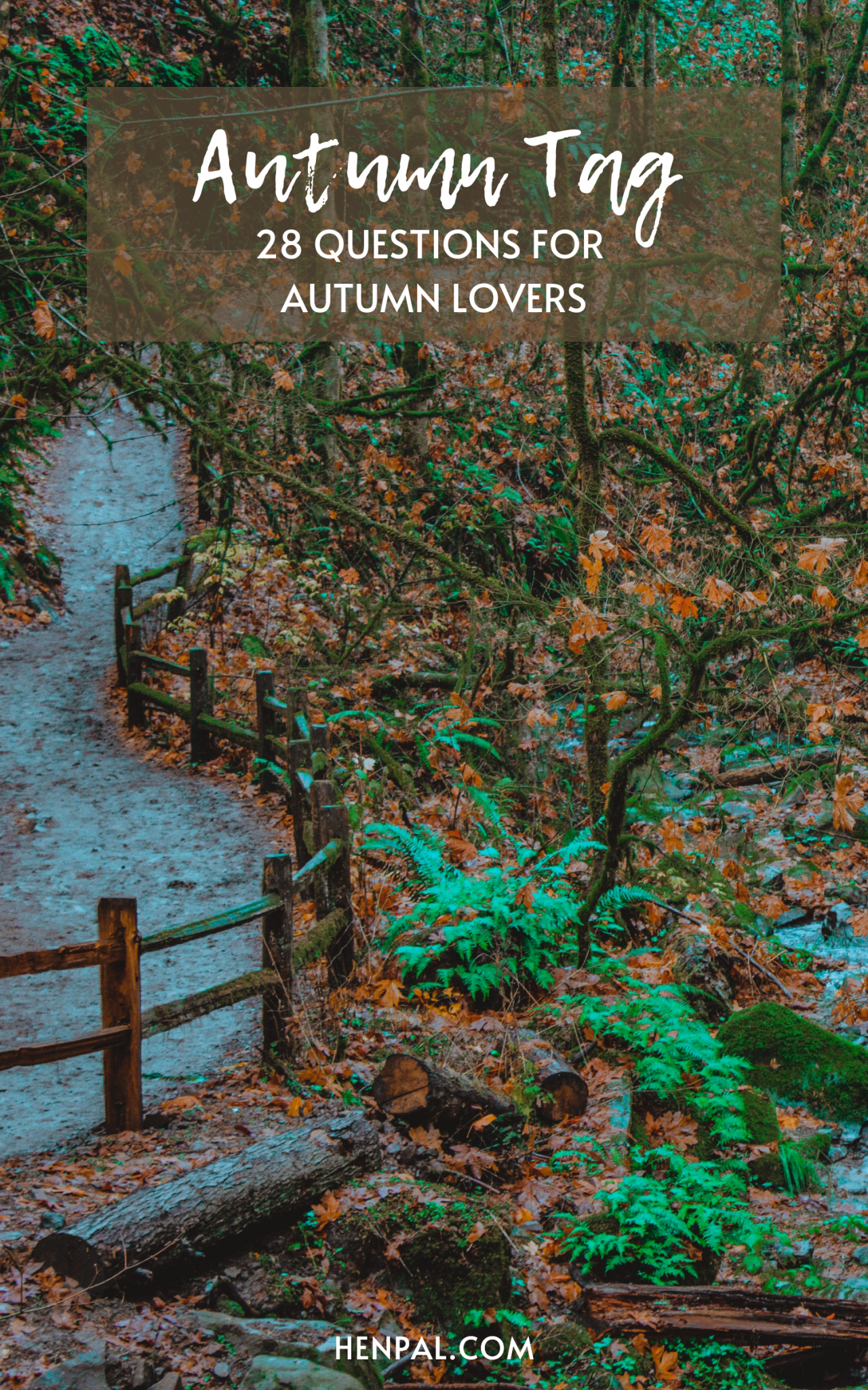 Autumn Tag | 28 Questions For Autumn Lovers – HENPAL