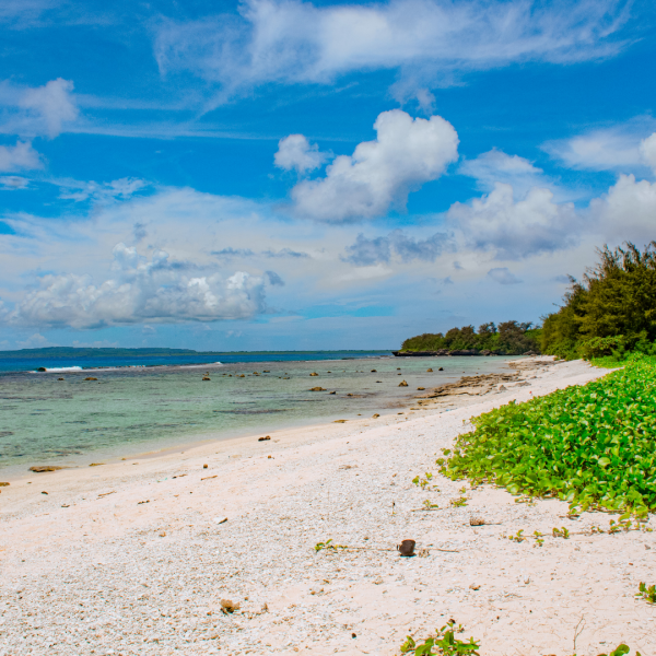 100 Things To Do In Saipan – HENPAL