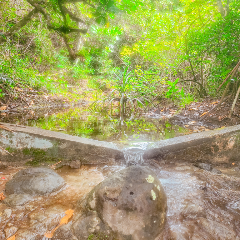 Talafofo Falls | My Experience Hiking To One Of Saipan’s Hidden Gems ...
